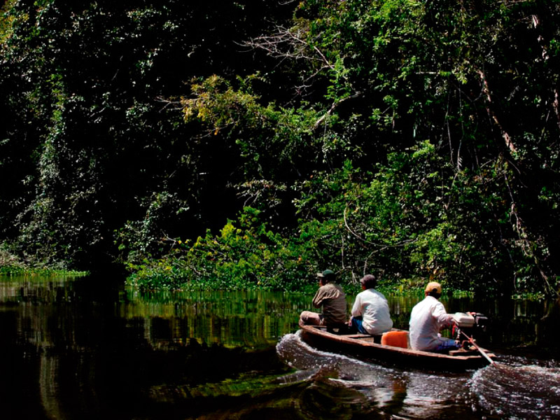 Tours In Pacaya-Samiria National Reserve, Peru | Amazon Expedition